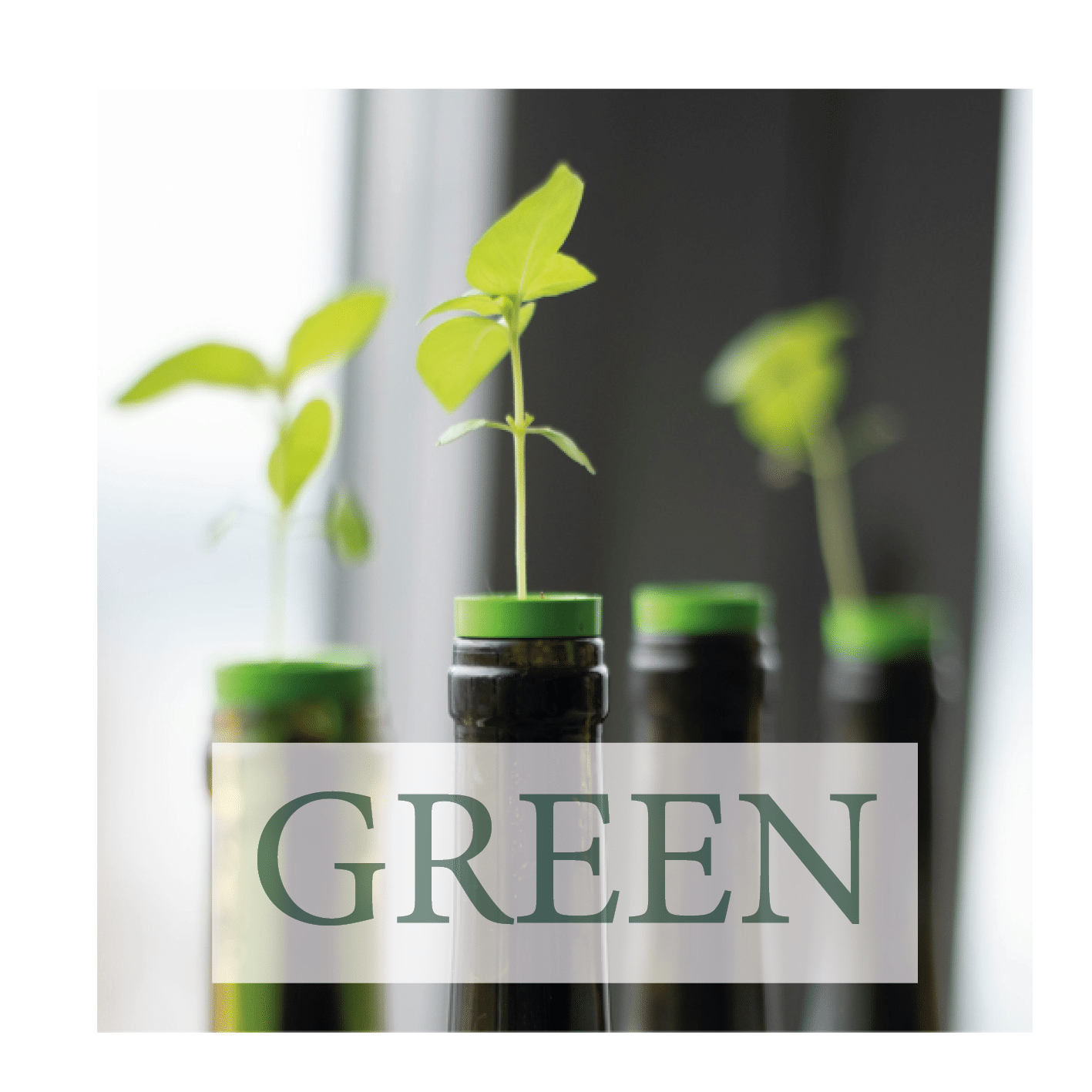 Nos vins Archive - Page 27 of 32 - Négoce de Vins